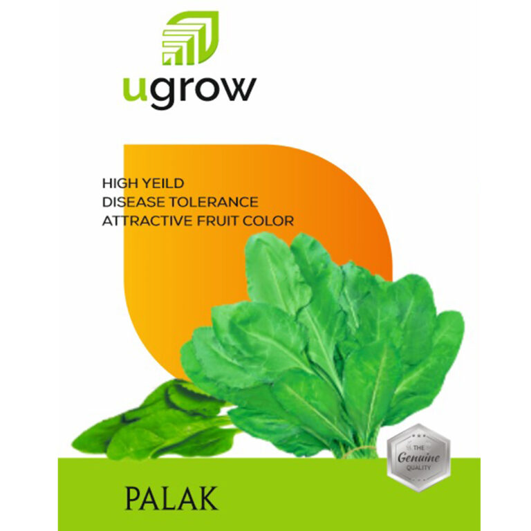 Palak Vegetables Seeds - Ugrow Seeds