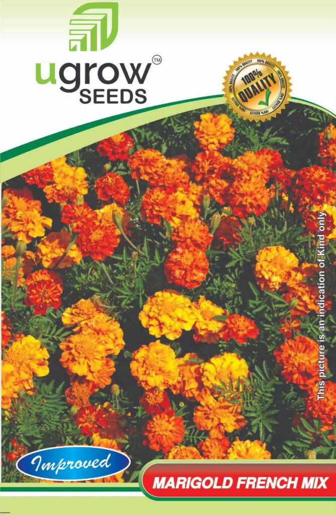 Marigold French Mix Hybrid Flower Seeds - Ugrow Seeds